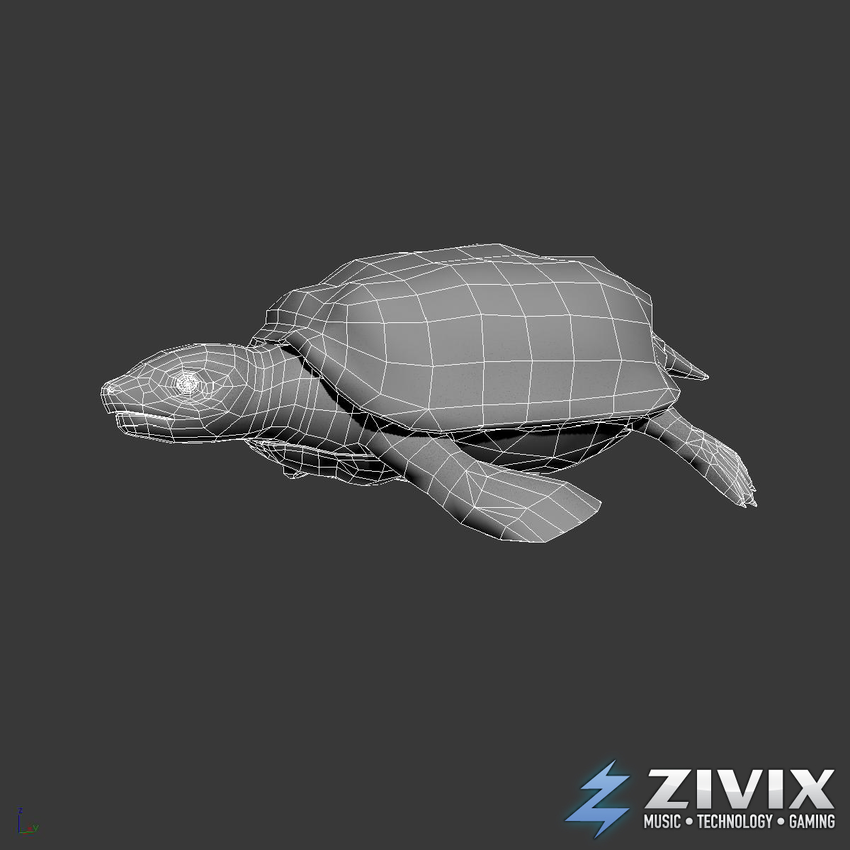 3d generic turtle swim