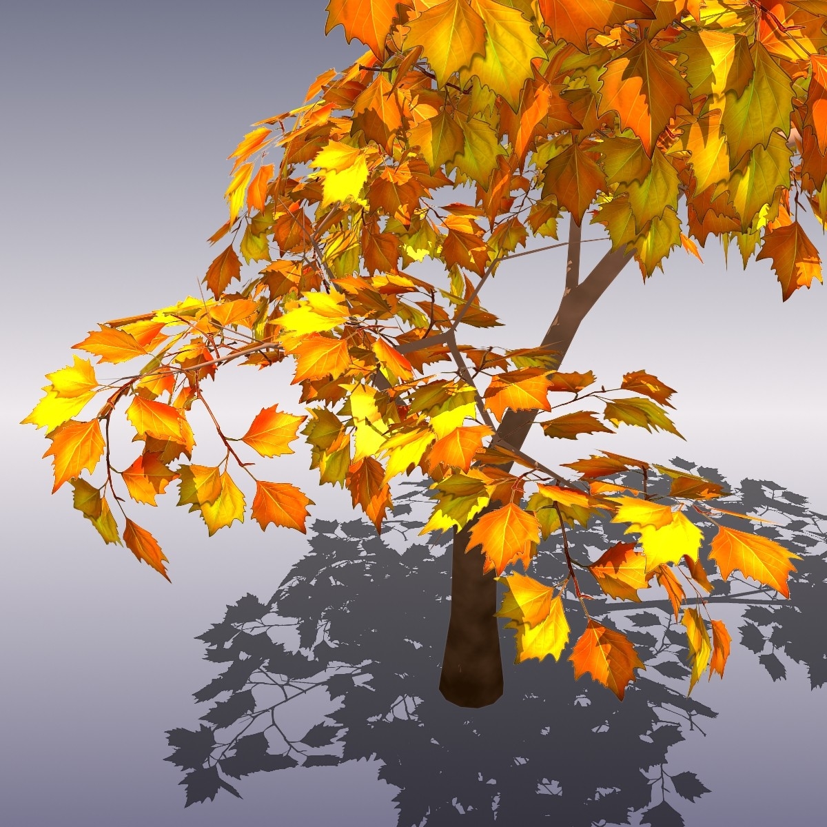 autumn orange leaf tree 3d model