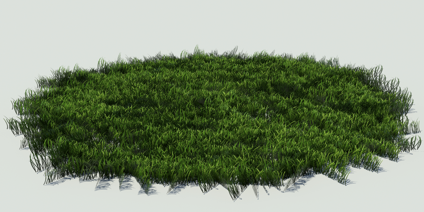 3d grass lawn model