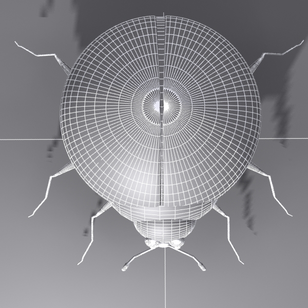 ladybug bug 3d max
