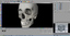 male skull 3d max
