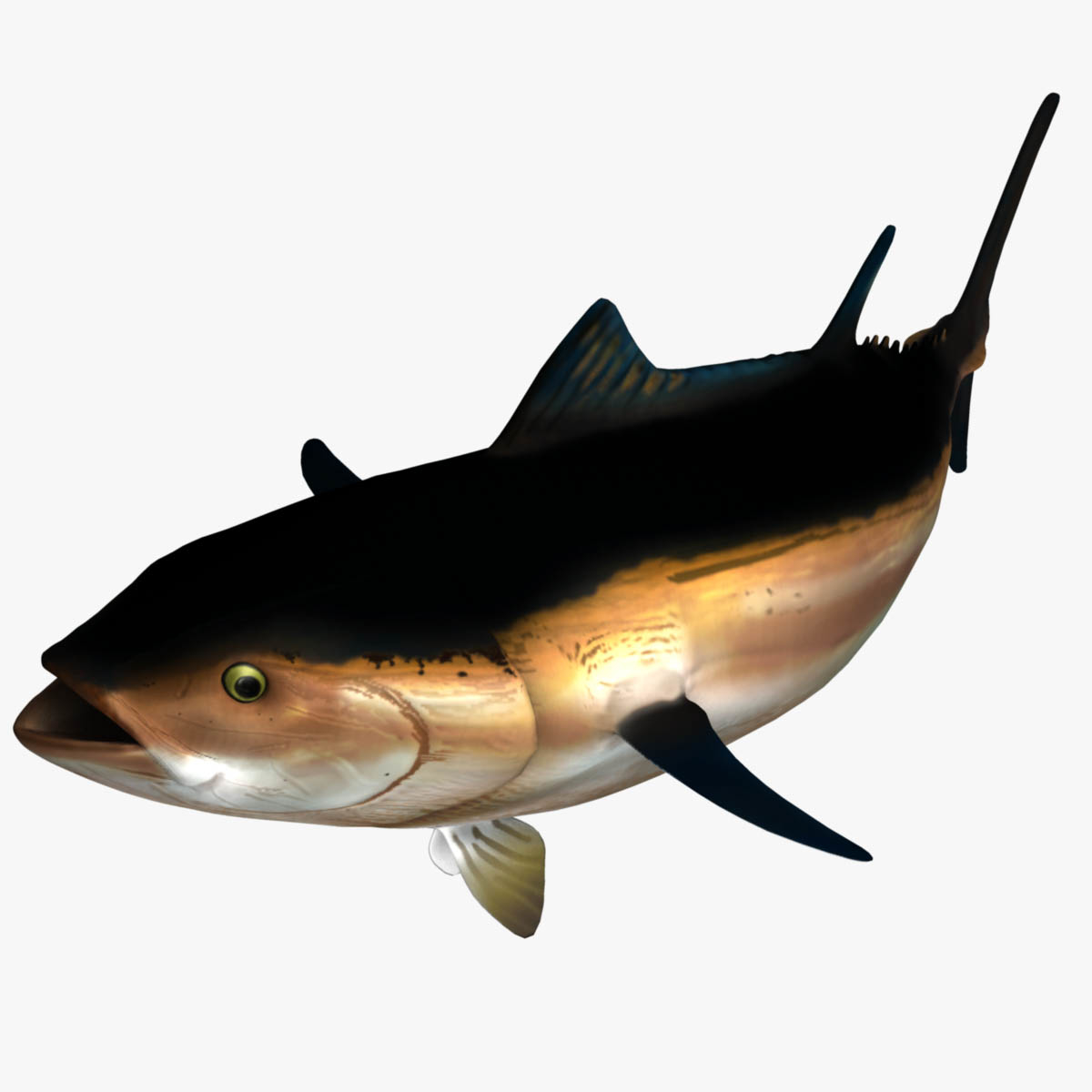 giant bluefin tuna 3d model