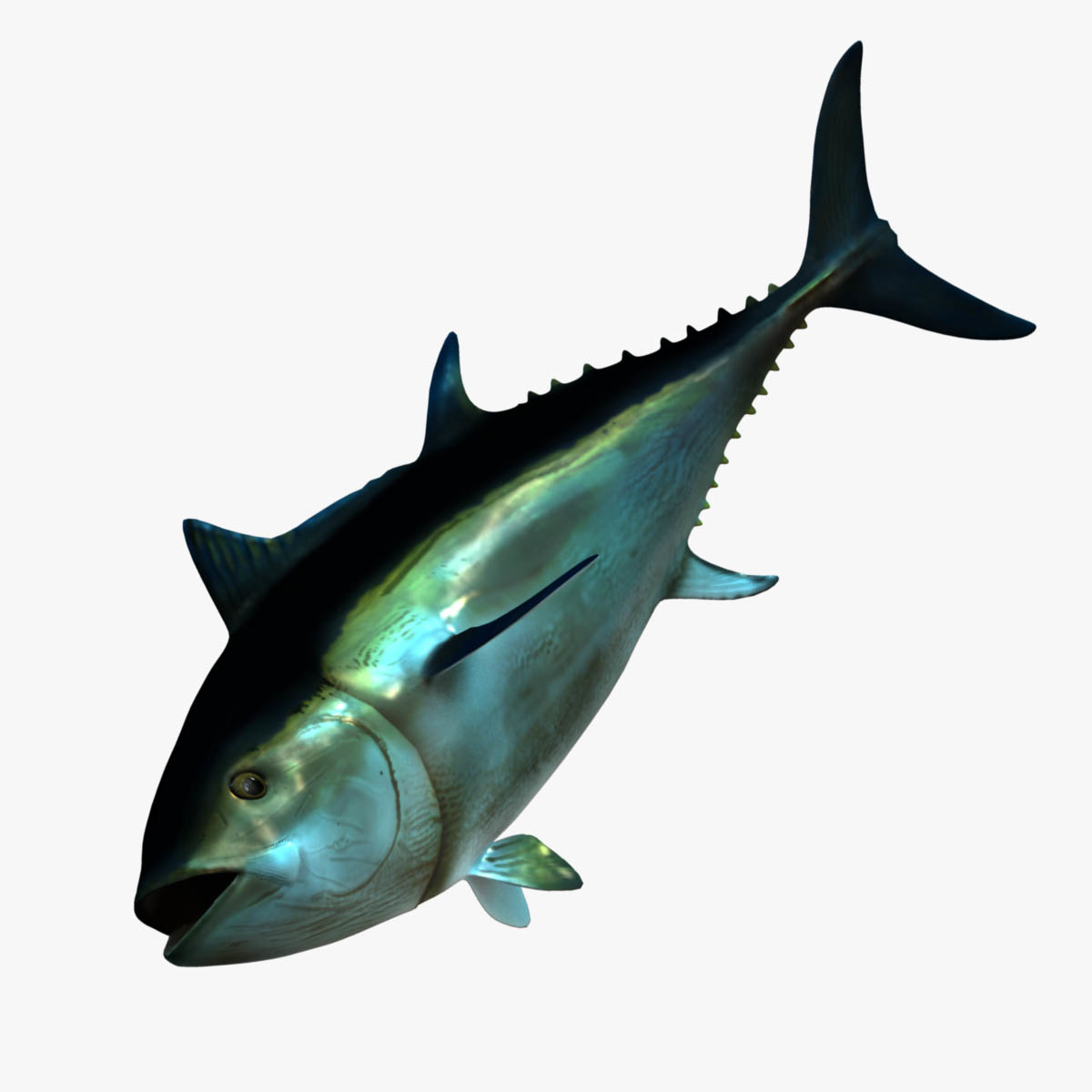 giant bluefin tuna 3d model