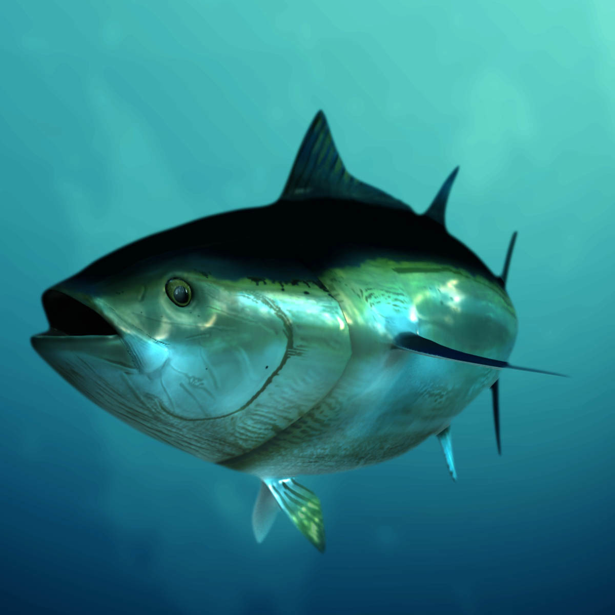 giant bluefin tuna 3d model