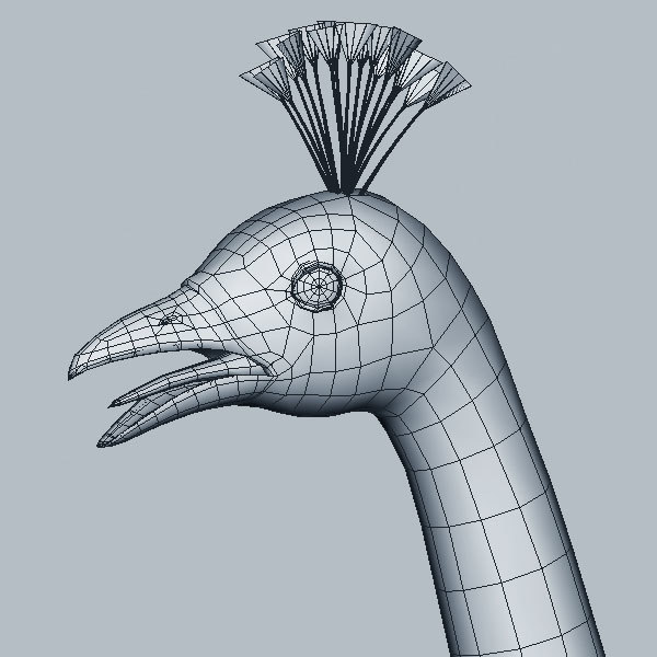 peacock feather 3d c4d