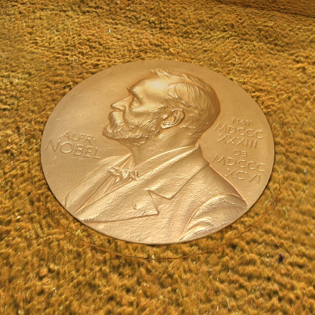 nobel prize 3d 3ds