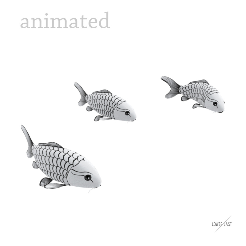 3d ma koi fishes animation