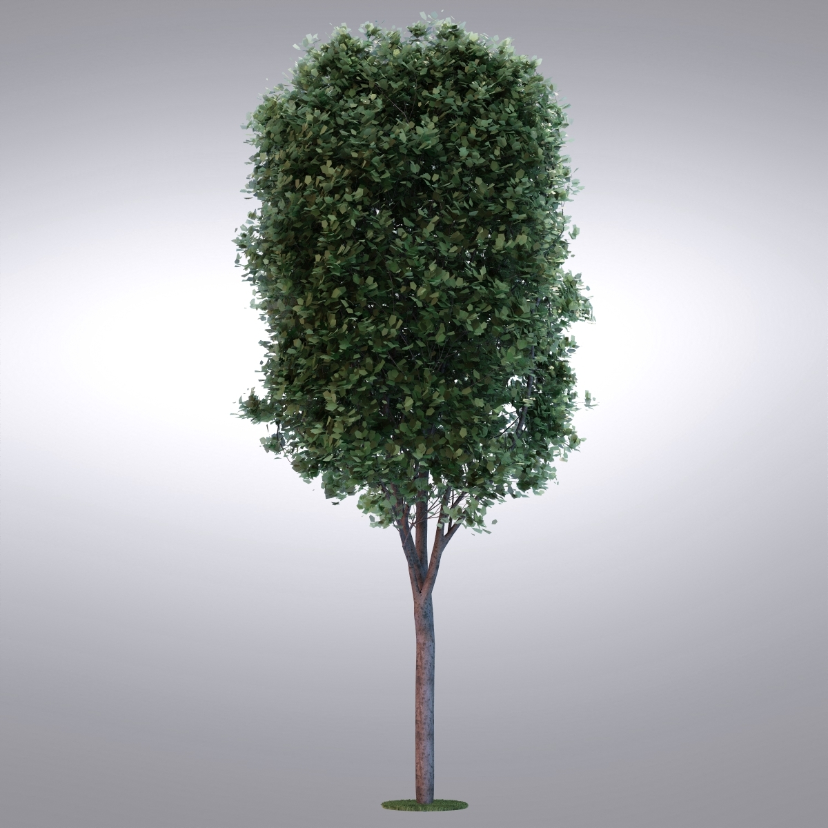 max realistic tree
