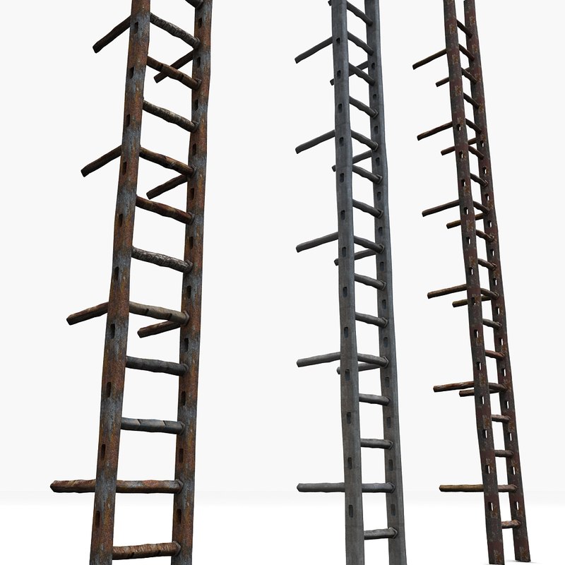 metal ladder old 3d model
