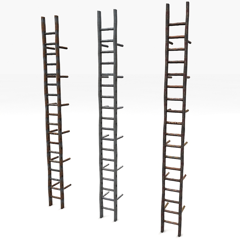 metal ladder old 3d model