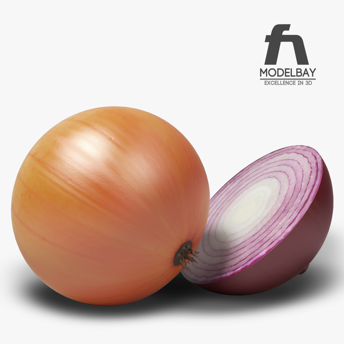 3d onion