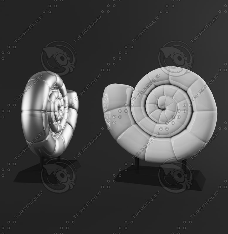 3ds max decorative shell