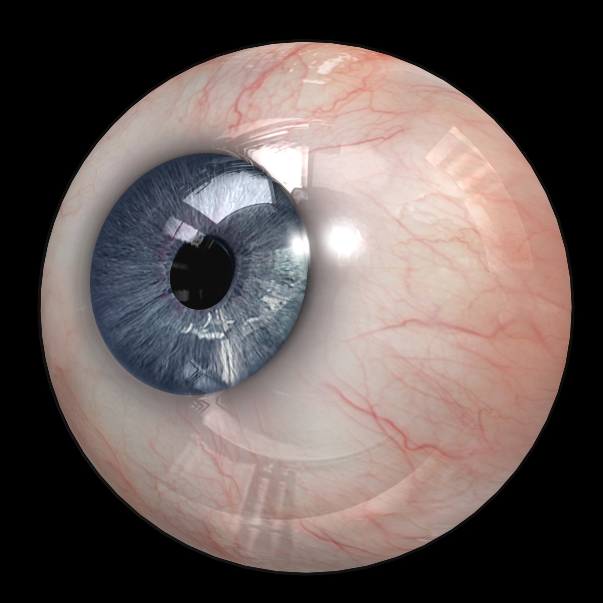 realistic eye 3d model