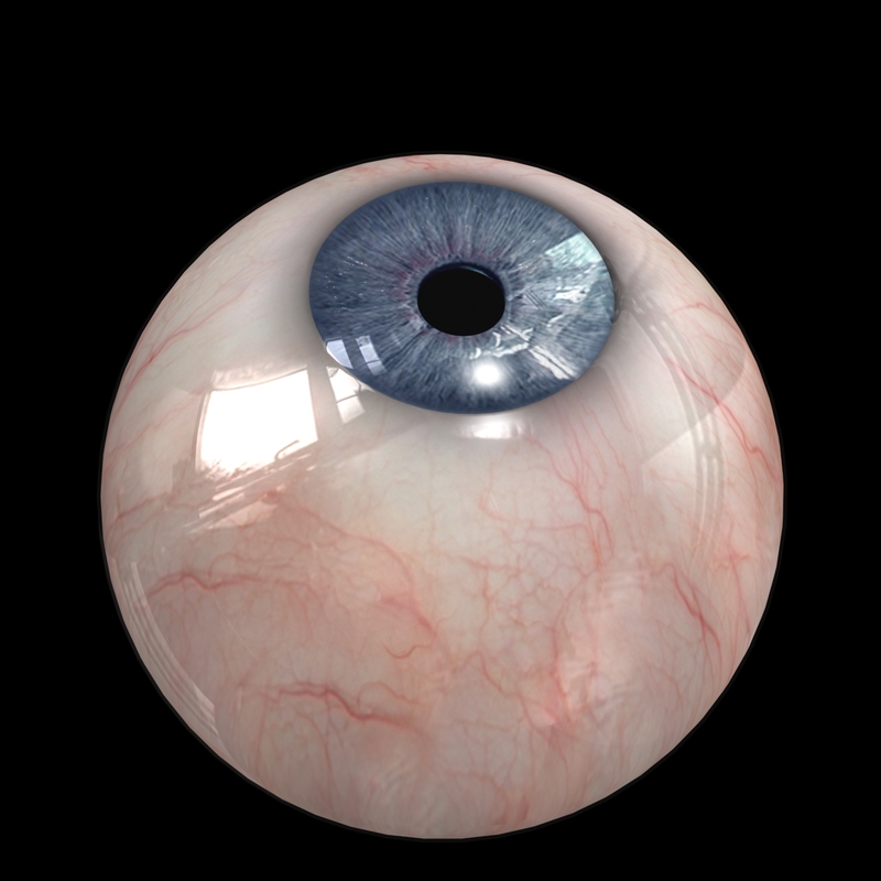 realistic eye 3d model