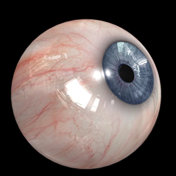 realistic eye 3d model