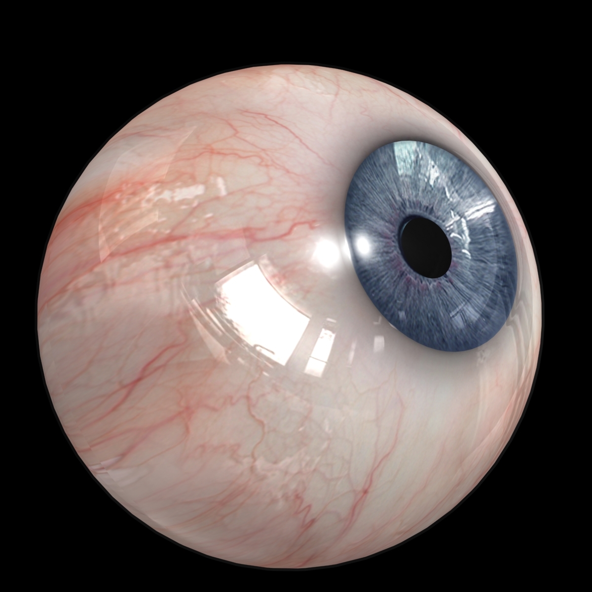 realistic eye 3d model