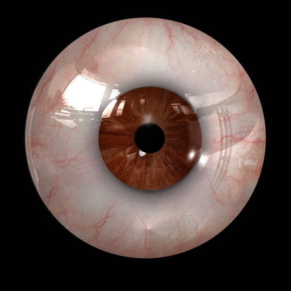 realistic eye 3d model