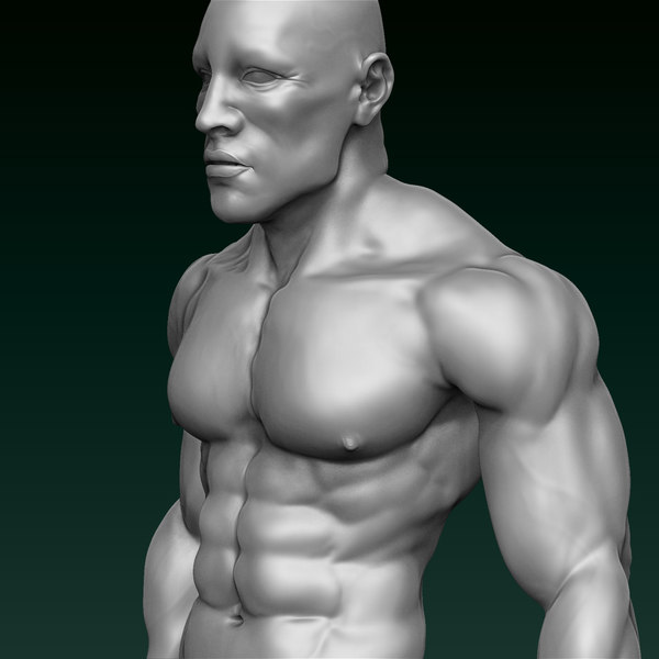 Bodybuilder 3D Models for Download | TurboSquid