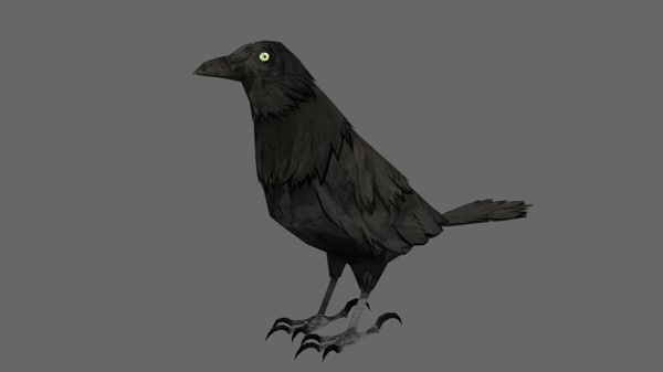 Crow 3D Models for Download | TurboSquid