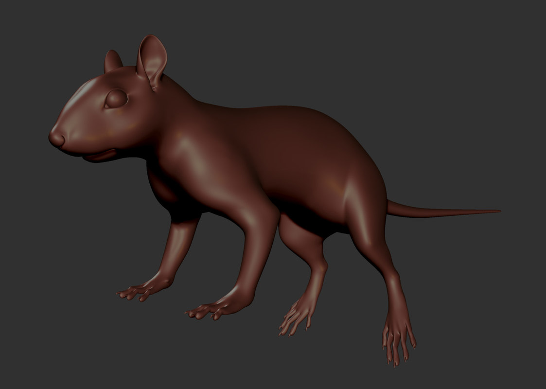 animal squirrel mouse 3d model