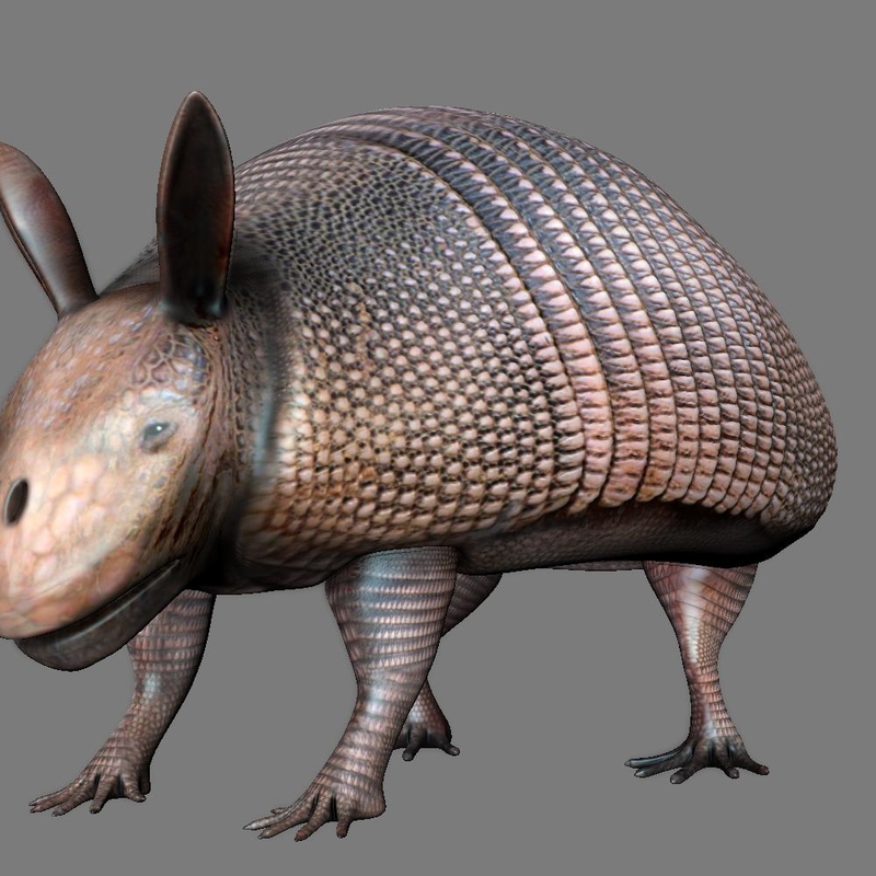 3d animal alien creature