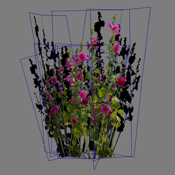 3d max flower pc