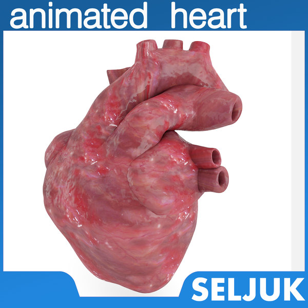 c4d human heart animation realistic