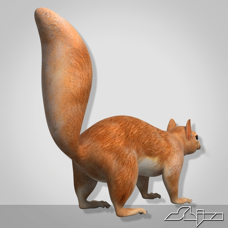 squirrel rigged character studio biped 3d model