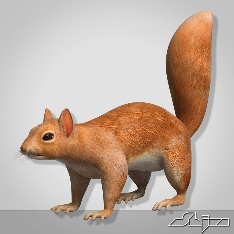 squirrel rigged character studio biped 3d model