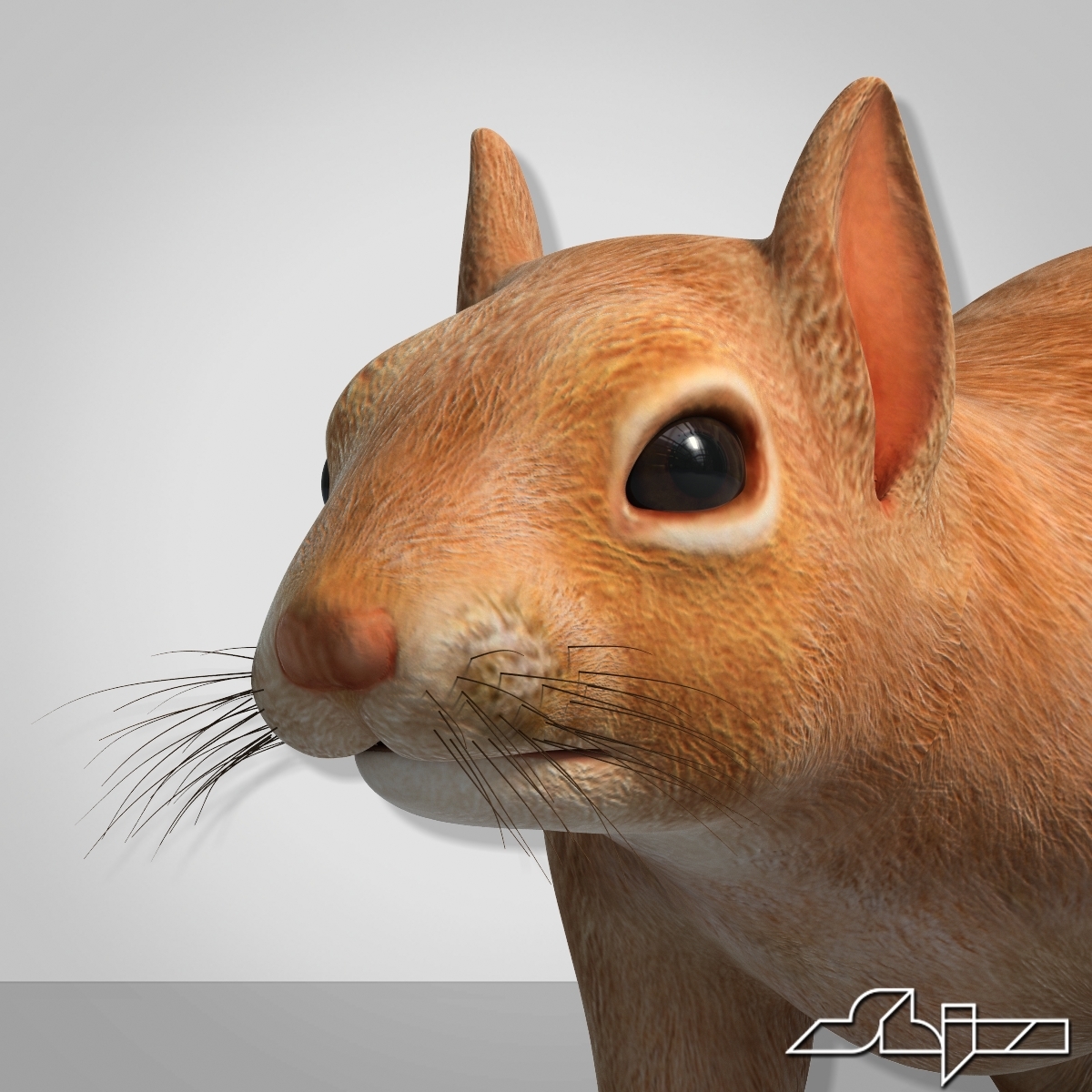 squirrel rigged character studio biped 3d model