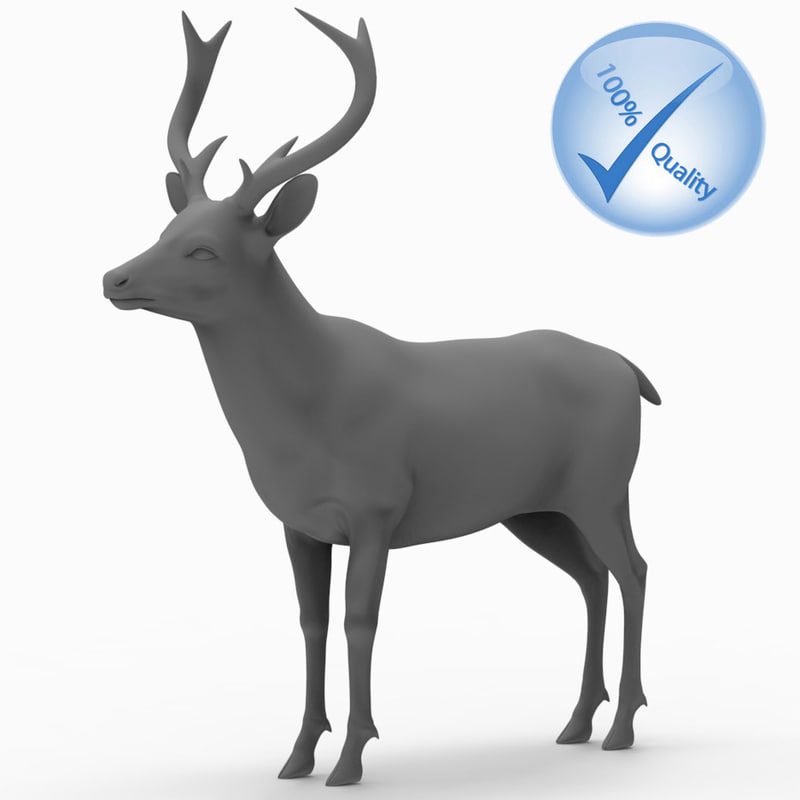 maya deer does