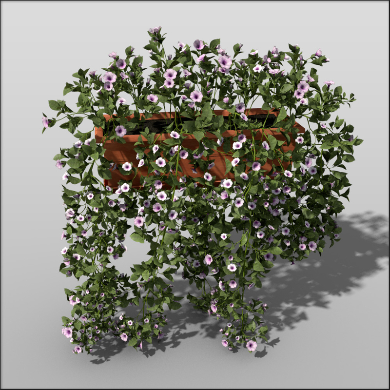 flowers plants balcony 3d model