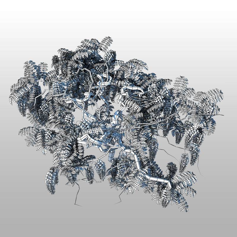 wisteria wysteria plant 3d model