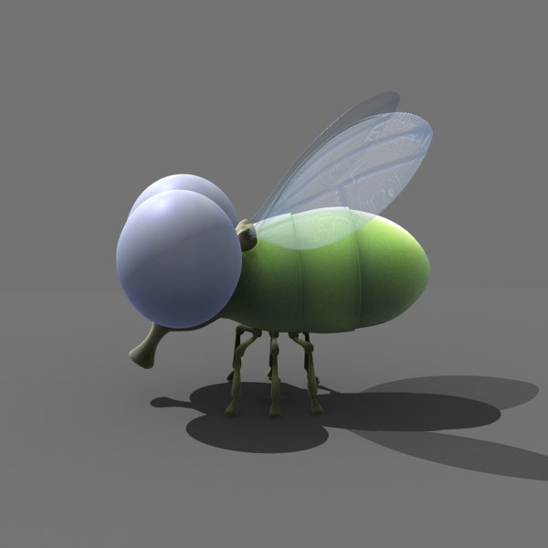 3d cartoon fly