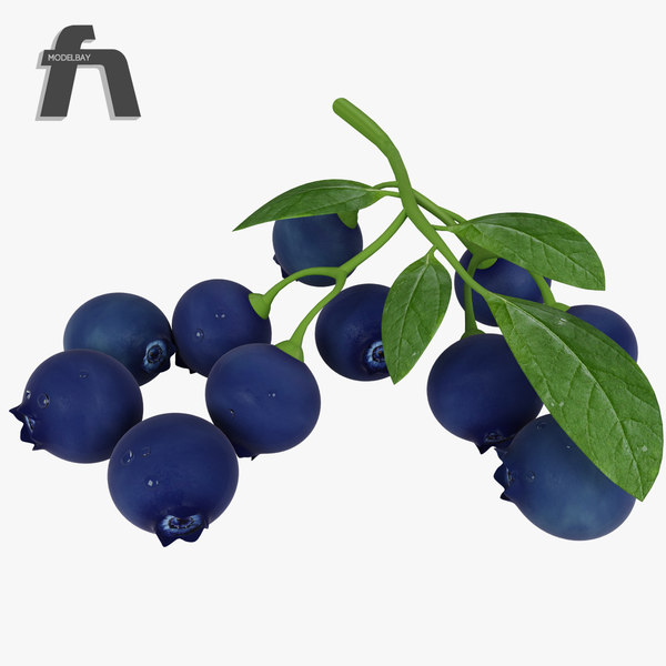3d model blueberry fruit