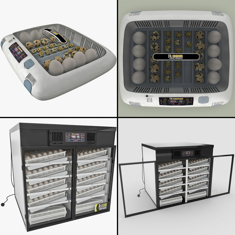 3d egg incubators 2 model