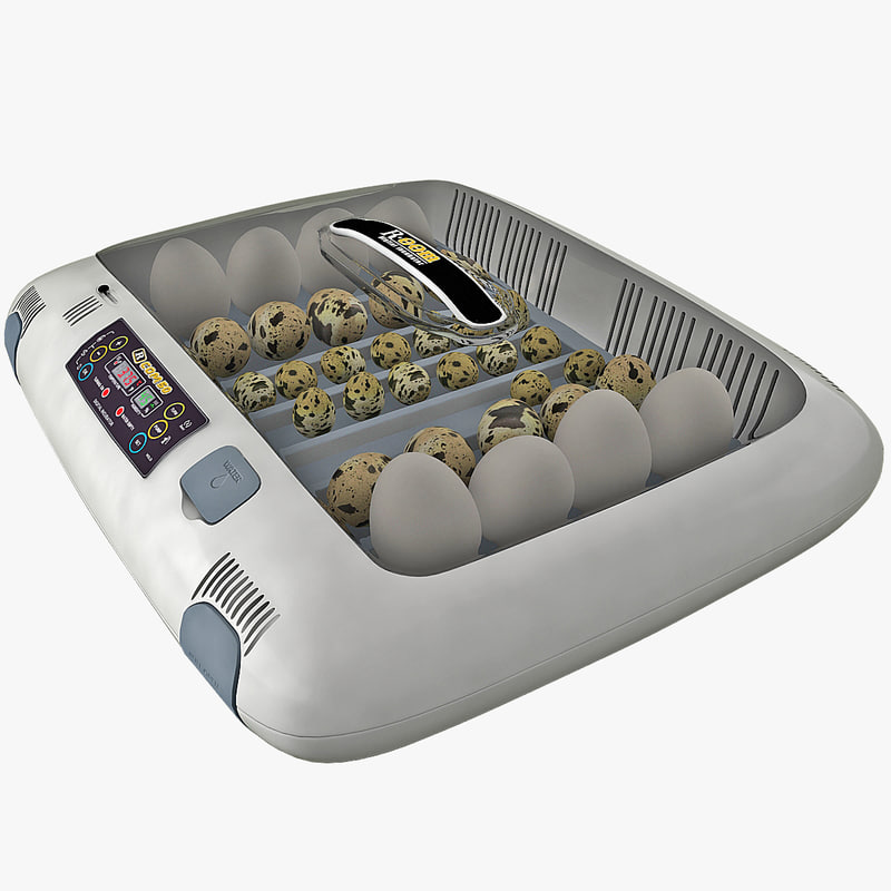 3d egg incubators 2 model