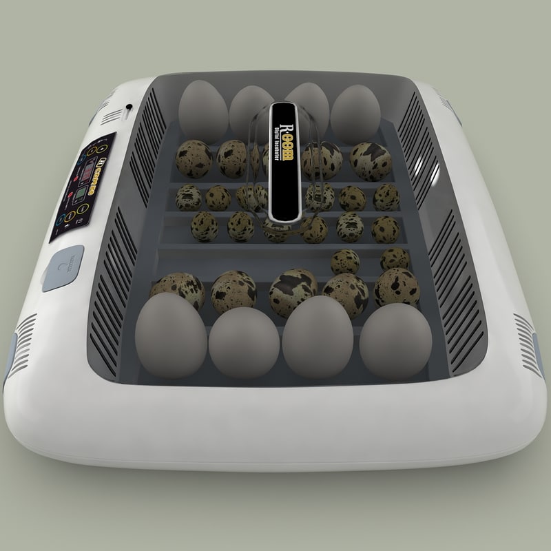 3d egg incubators 2 model