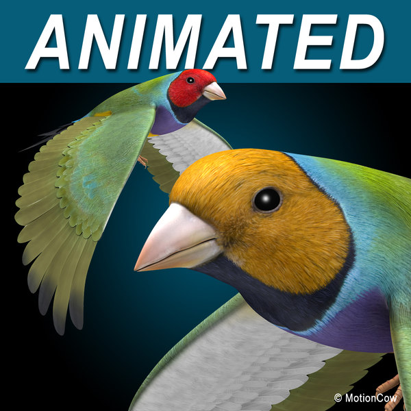Free Bird Blender Models for Download | TurboSquid