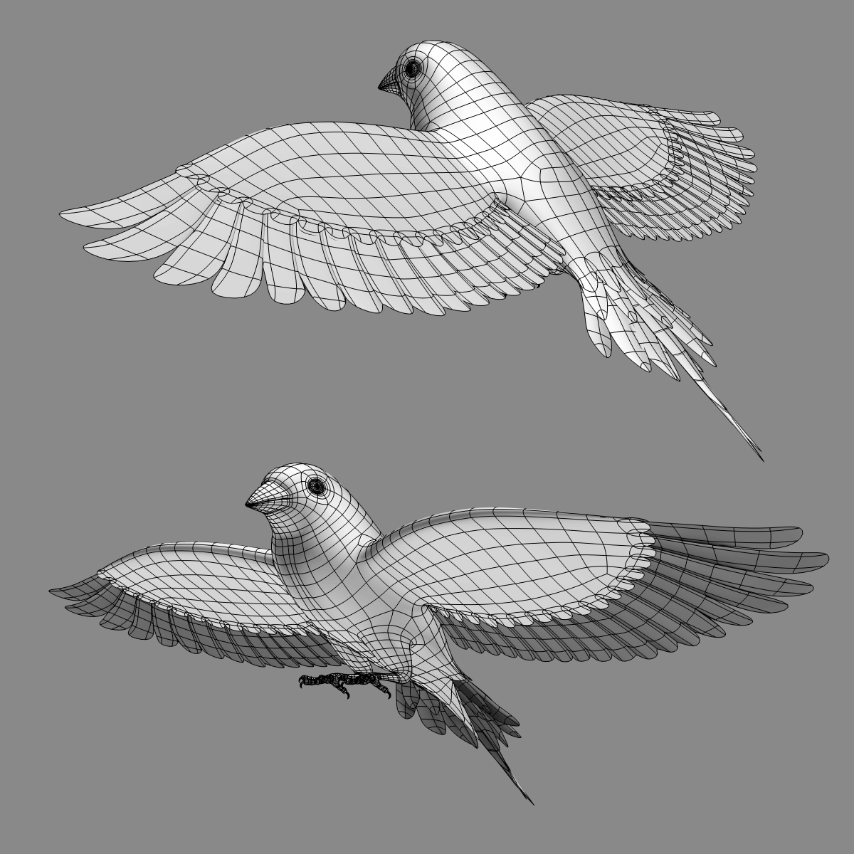 max finch flying