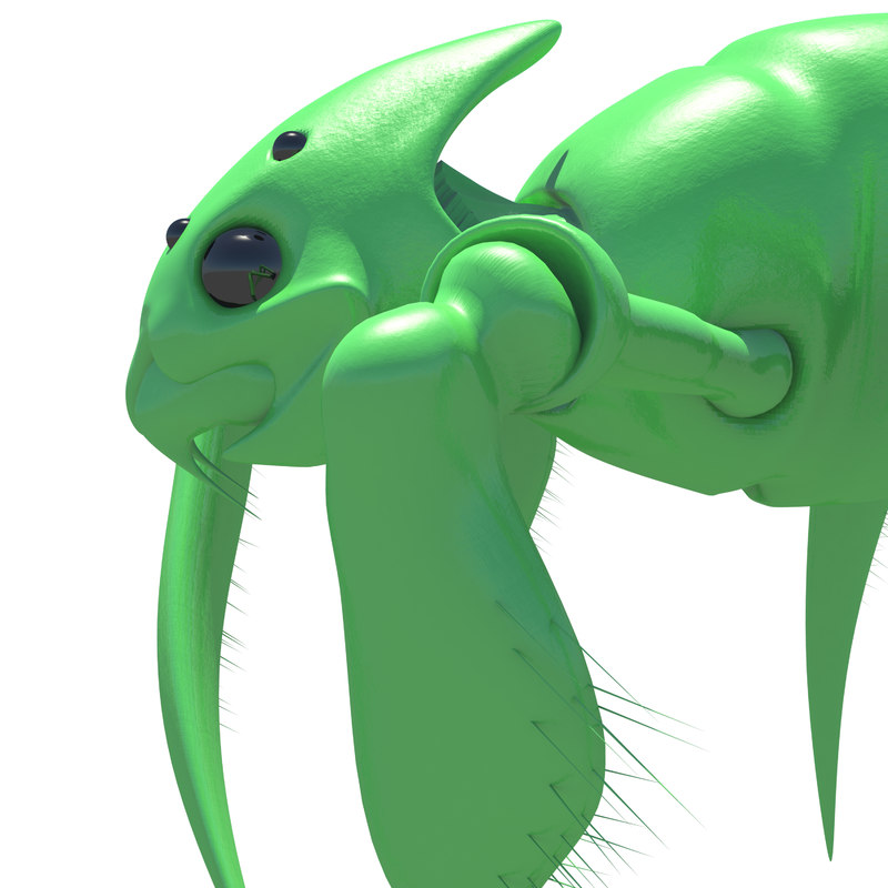 maya rigged insect