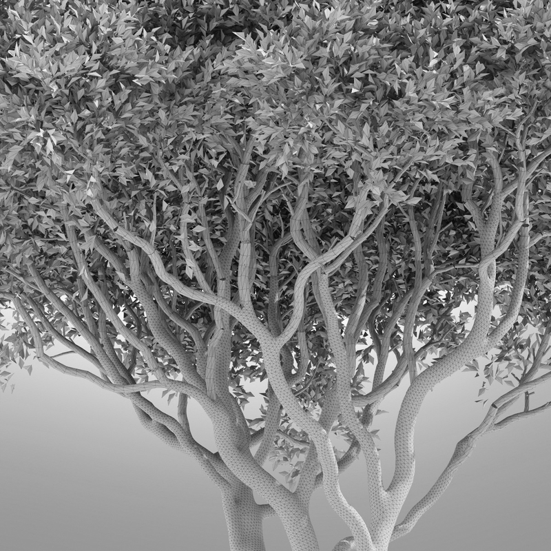 hi realistic series tree max