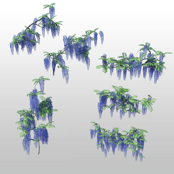 tree flower 3d model