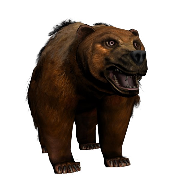 maya bear