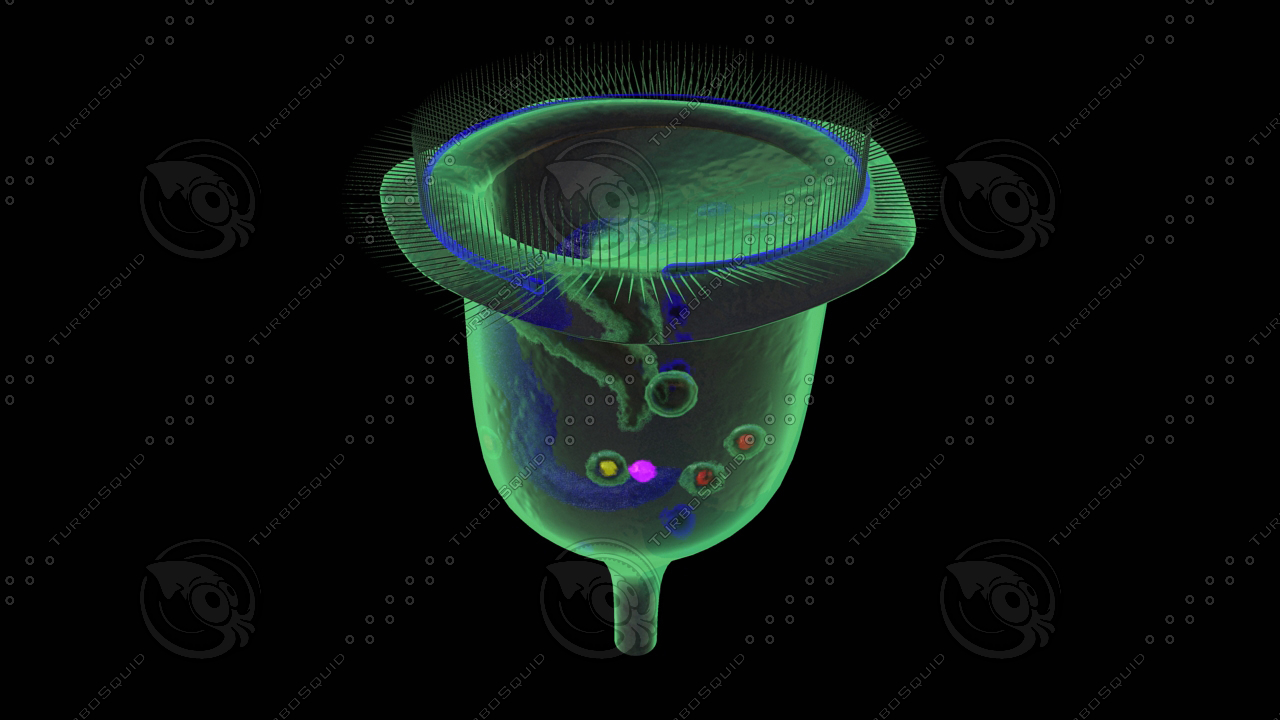 vorticella protozoa 3d obj