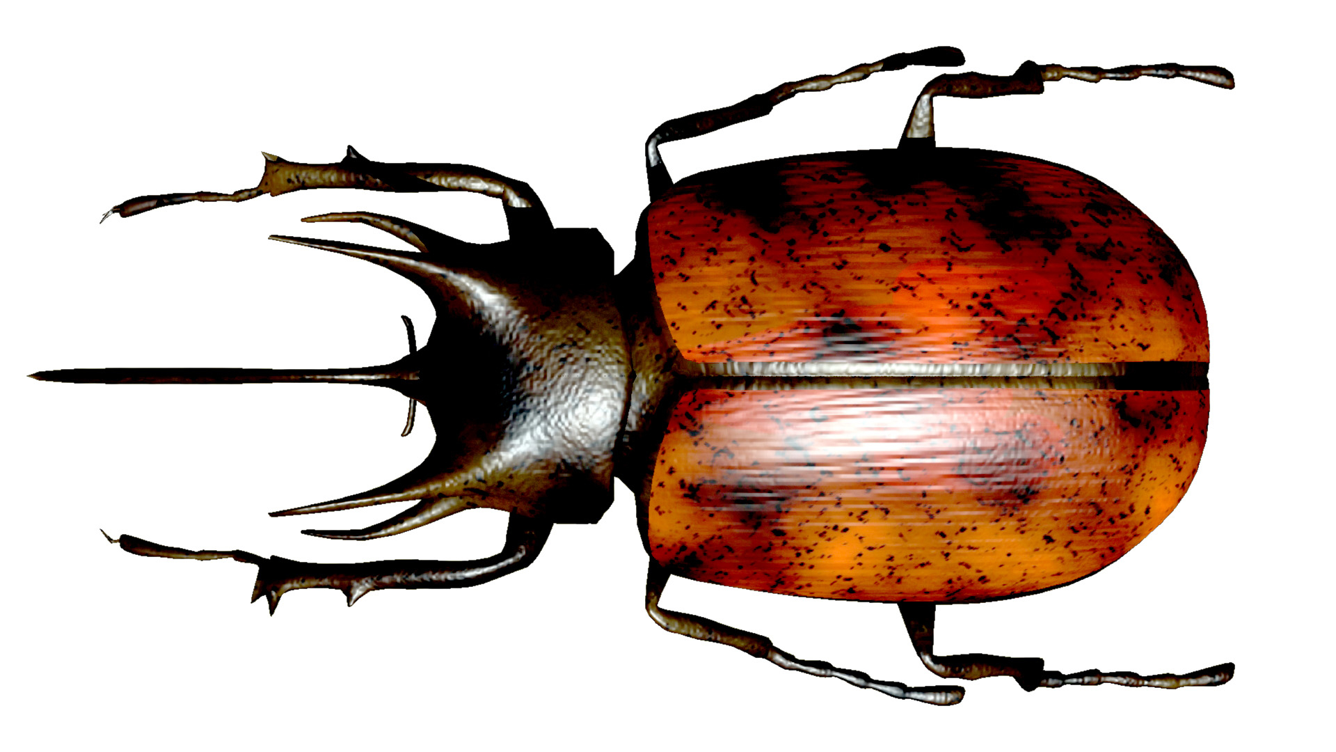 beetle bug 3d ma