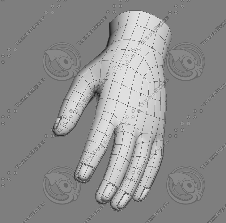 quad base hand 3d model