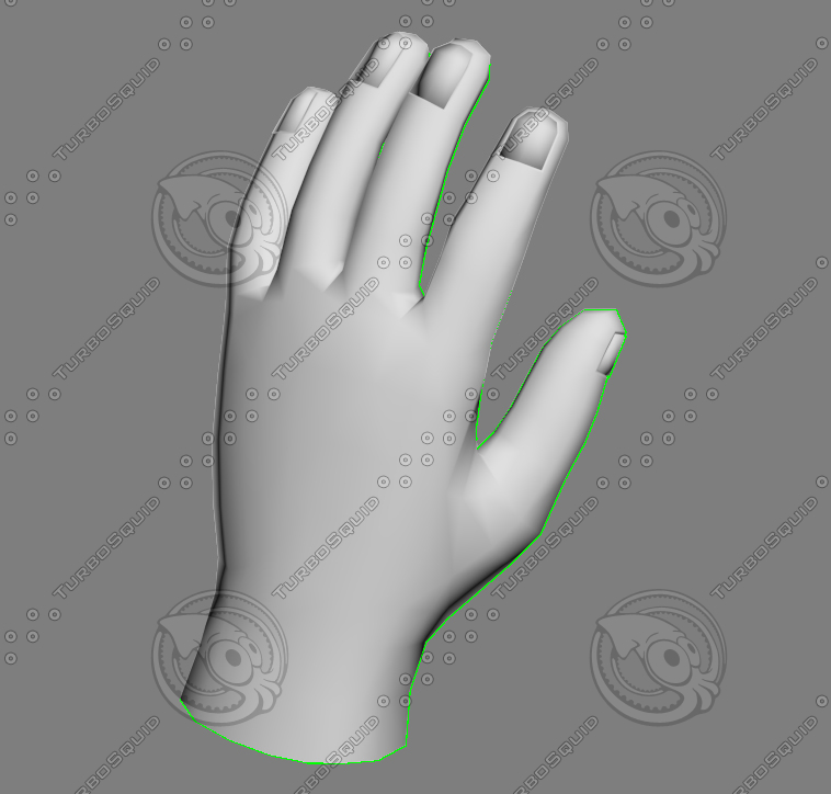 quad base hand 3d model
