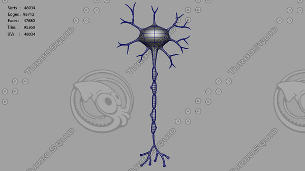 neuron cell 3d obj