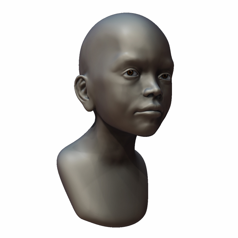 free young boy head 3d model